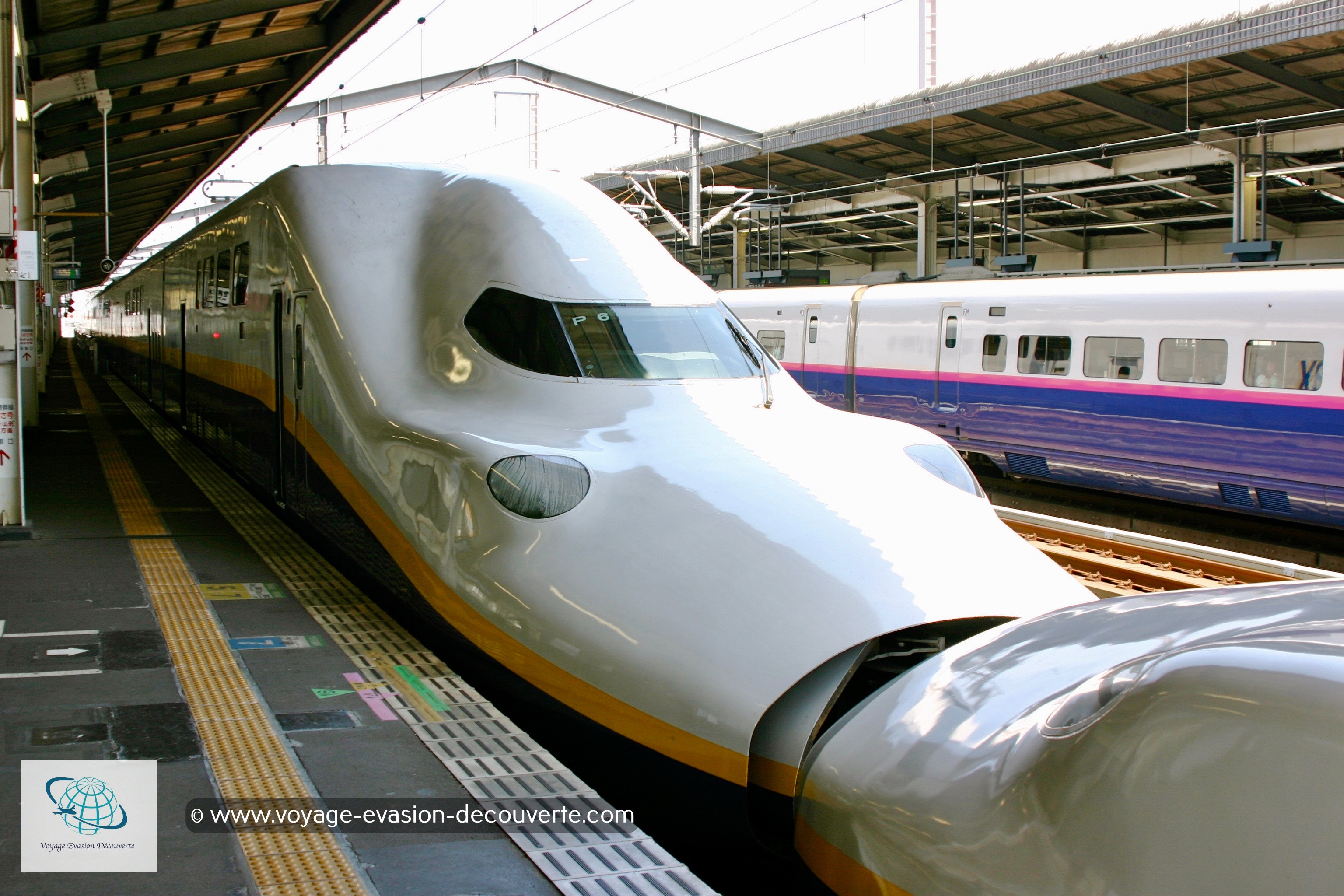 Japon